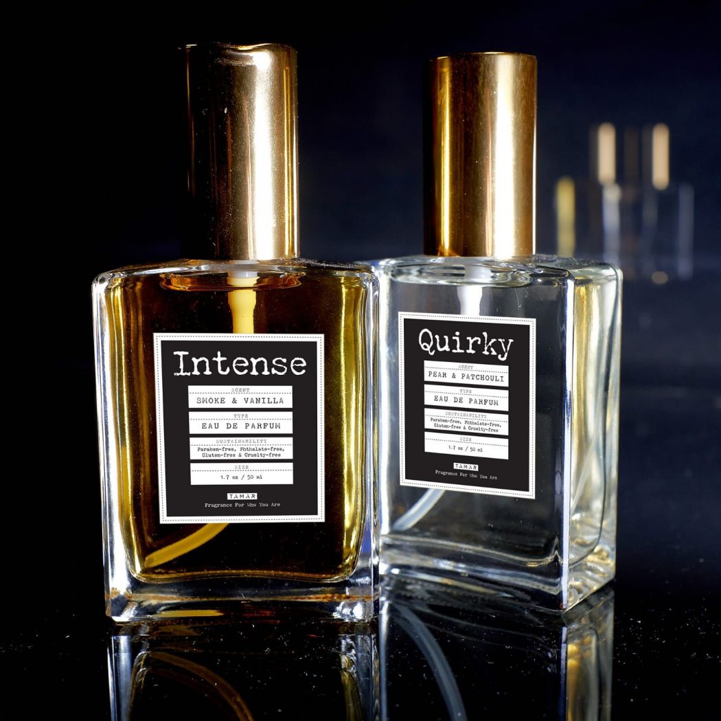 Evolving Techipedia: the launch of TAMAR.